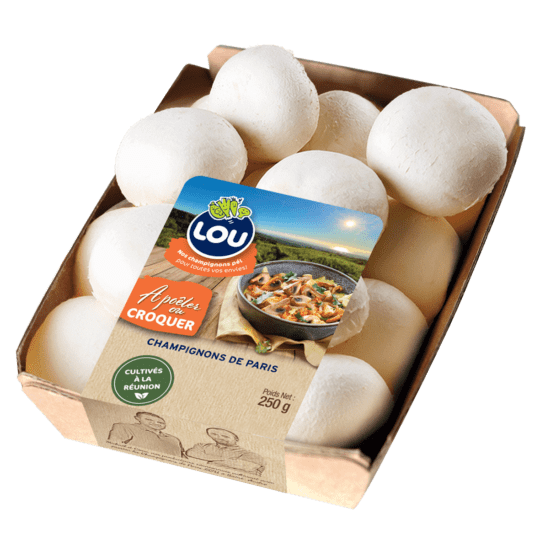 Champignons de Paris | Lou Champignons